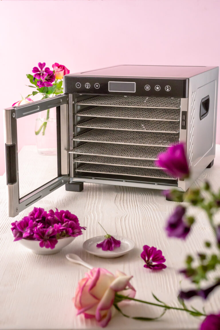 Vorstellung Dörrautomat-DA 650